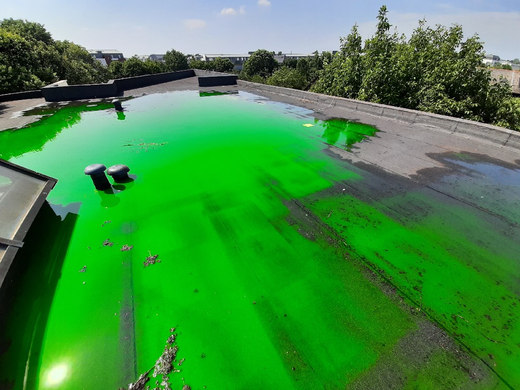 SNPR Services - SNPR